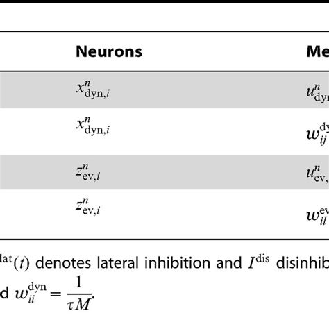 Particle Filter Circuit Equations For Task Classes B And C Download
