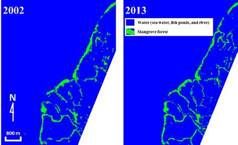 Mangrove Forest Extraction Derived From A Supervised Classification Download Scientific Diagram