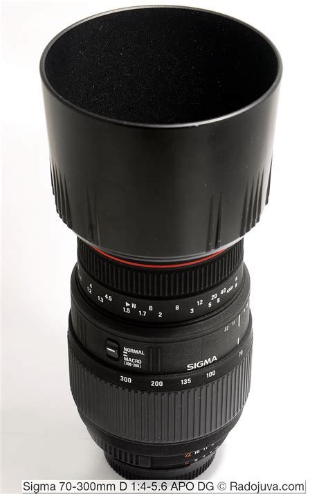 Review Sigma 70-300mm D 1: 4-5.6 APO DG | Happy