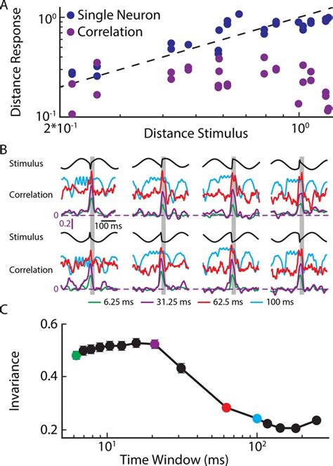Figures And Data In Neural Correlations Enable Invariant Coding And Perception Of Natural