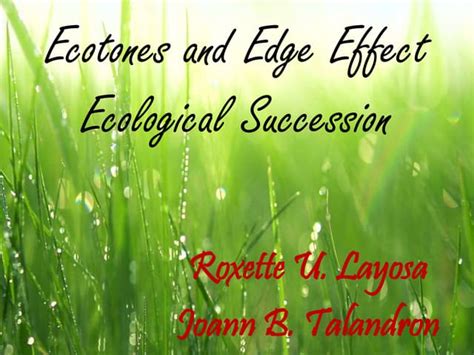 Ecotone And Edge Effects And Ecological Succession Pptx