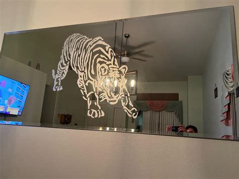 Clean Image Off Of Mirror R Cleaningtips