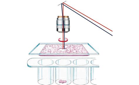 Leica Laser Microdissection Avantor