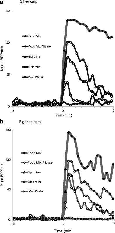 Mean Buccal Pharyngeal Pumping BPP Rates Of Silver A N 11 And Download Scientific