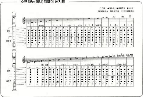 리코더 운지법 저먼식 바로크식