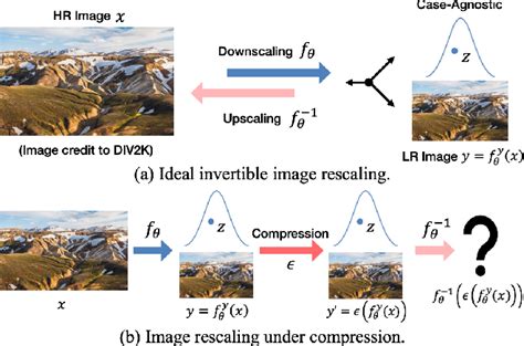 Figure 1 From Self Asymmetric Invertible Network For Compression Aware
