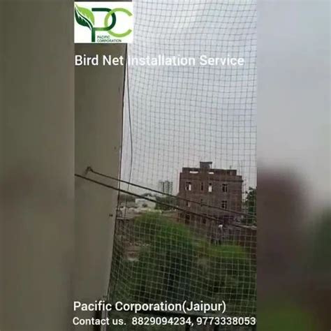Bird Protection Net At Rs 5 Square Feet Sanganer Jaipur Id