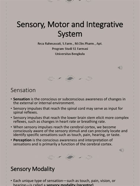 Sensory Motor And Integrative System Pdf Senses Somatosensory System