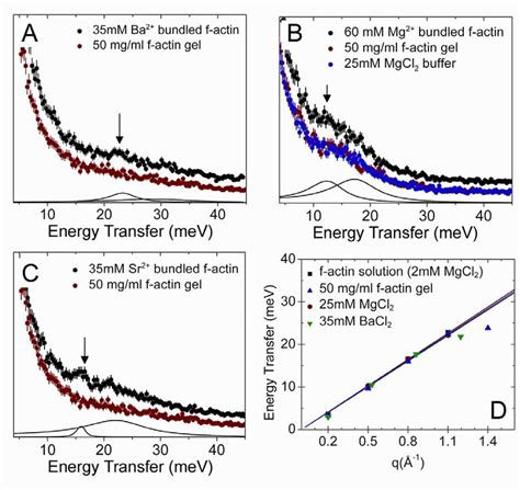 6 A Direct Comparison Between Representative Normalized Spectra From Download Scientific