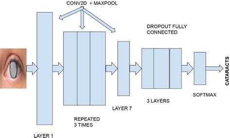 Figure 1 From Multiple Eye Disease Detection Using Deep Learning