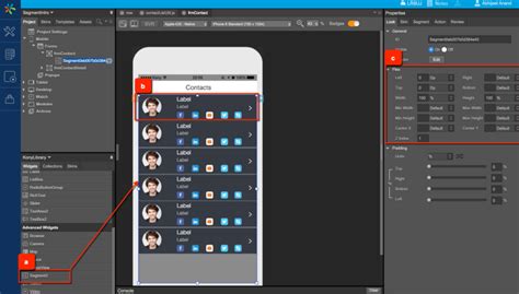 segment widget