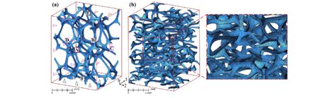 Finite Element Models Of The Pristine A And The Auxetic Foam With R C Download Scientific