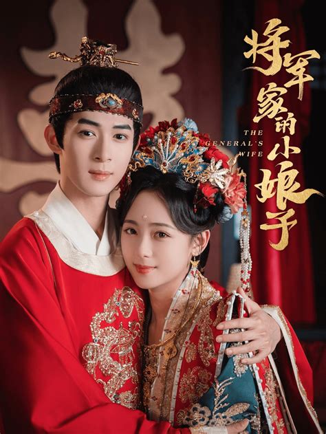 大陆短剧 Findshortdrama