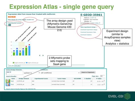 Ppt Gene Expression Services Arrayexpress And The Gene Expression Atlas Powerpoint