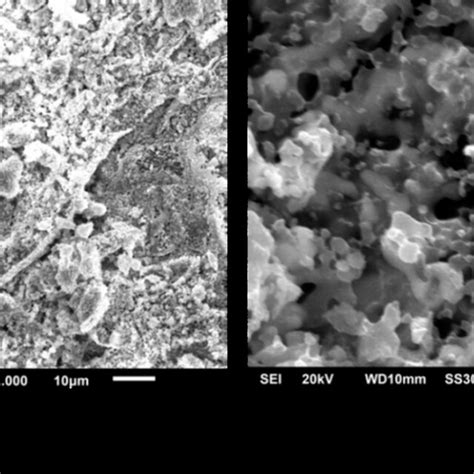 Sem Pattern Of The As Prepared Bi 4 Si 3 O 12 Sio 2 Tio 2 A 1000× Download Scientific