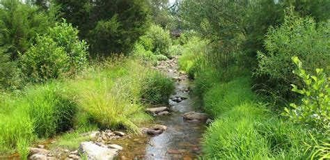 Vegeclassify Poc 02 Classification Dataset And Pre Trained Model By