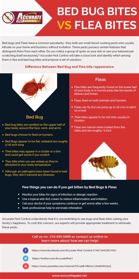 Bed Bug Bites Vs Flea Bites Super News Prime