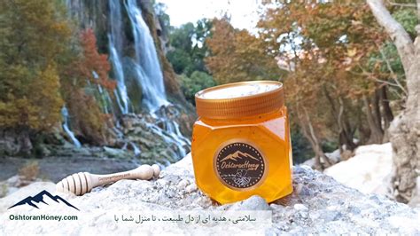 خرید عسل طبیعی فروشگاه عسل ژل رویال گرده گل بره موم