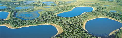 SAP Sustainability Research Leadership Required SAP News Center