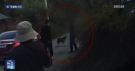 이웃집 개에 물려 손가락 절단…개 물림 사고 연간 2천 건