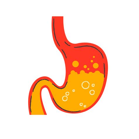 Cartoon Stomach Generative Ai 27990499 Png