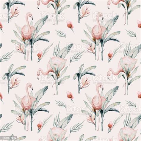 플라밍고와 열대 원활한 패턴 수채화 열대 드로잉 장미 새와 녹지 야자수 열대 녹색 질감 이국적인 꽃 0명에 대한 스톡 벡터 아트 및 기타 이미지 Istock