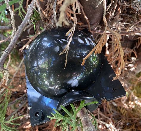 Easy Tree Propagation Using Root Boxes Mac S Opinion