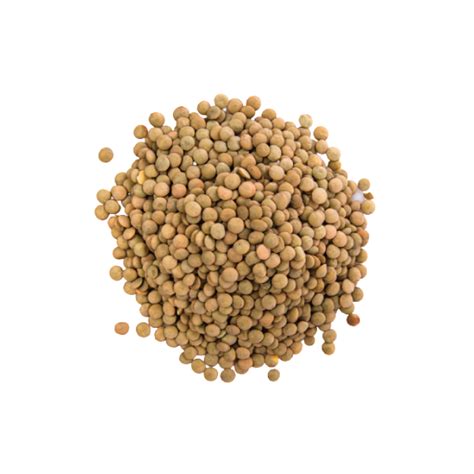 Lentil Beans Hosnaexport