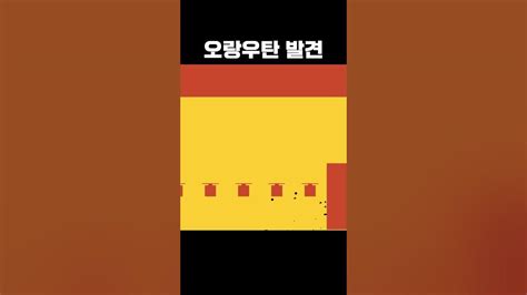 오랑우탄 발견 Shorts Youtube