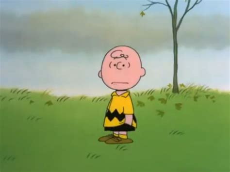 Charlie Brown By Tatsunokoisthebest On Deviantart