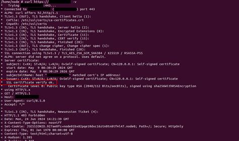 Jenkins Ignore Ssl Option Feature Requests N8n Community