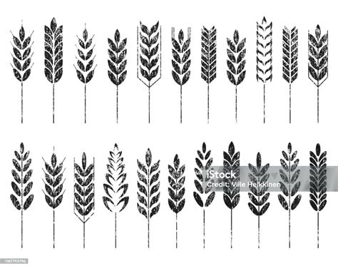 시리얼 곡물 스파이크 그런 지 아이콘 모양 세트 농업 식품 기호 기호입니다 벡터 일러스트 이미지입니다 흰색 배경에 격리 귀리 유청 보리 호밀 가을에 대한 스톡 벡터 아트 및