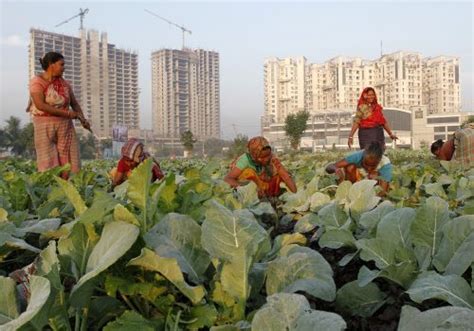 Tackling Food Insecurity In Africa Will Require Securing Womens Rights