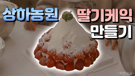 상하농원 딸기 케익 만들기 체험│ 전북 고창 상하농원 딸기 케익만들기 딸기케익만들기 Youtube