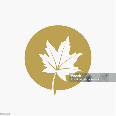 편지 O 단풍잎 우아한 로고 메이플 리프 로고 타입 벡터 템플릿 단풍 잎에 대한 스톡 벡터 아트 및 기타 이미지 단풍 잎 아이콘 단풍나무속 Istock