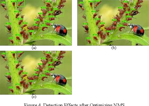 Figure 4 From Research On Agricultural Pest Target Detection Method Based On Yolov7 Semantic