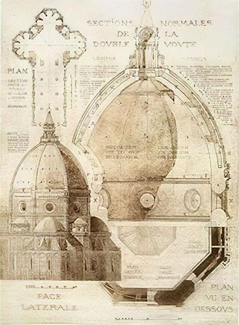 Biomimetic Architecture Back In Time Rtf Rethinking The Future
