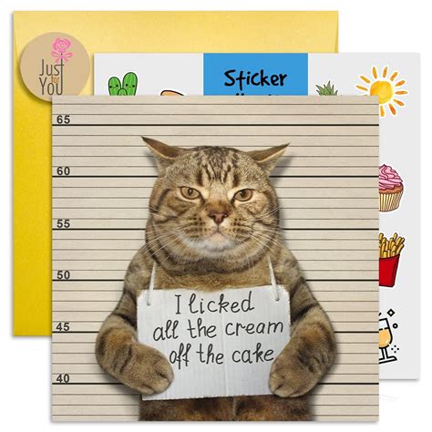 Funny Birthday Cat Pictures For Women