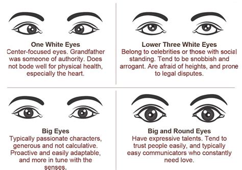 Face Reading Learn What Your Face Has To Say Face Reading Chinese