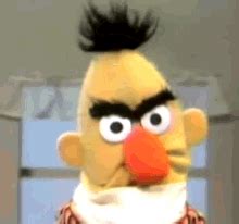 Mème De Bert Sesame Street