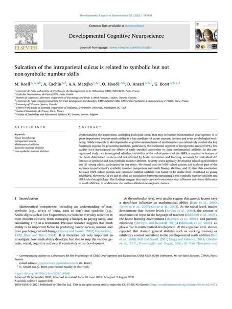 Pdf Sulcation Of The Intraparietal Sulcus Is Related To Symbolic But Not Non Symbolic Number