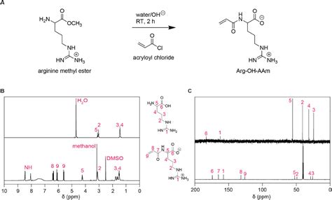 Bio‐inspired Zwitterionic Copolymers With Amphiphilic Character Lutz Macromolecular Rapid