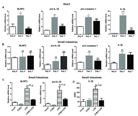 Cvb3 Infection Inhibits Nlrp3 Inflammasome Activation And Il 1β