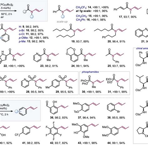 Scope Of E Selective Olefin Migration Enabled By New Pdi Dimer D3 In
