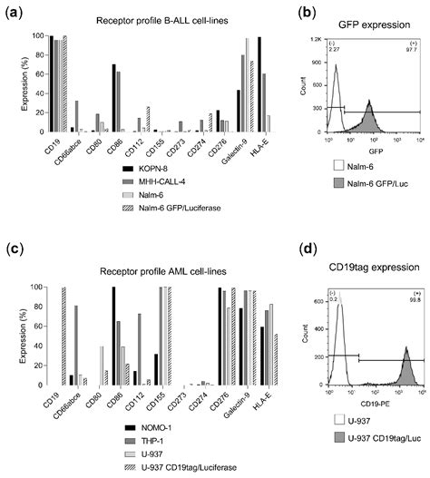 Preclinical Evaluation Of Crispr Edited Car Nk 92 Cells For Off The