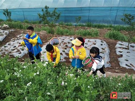 贡井区蓆草田小学开展劳动教育研学实践活动
