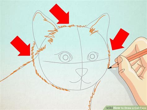How To Draw A Cat Face 8 Steps With Pictures WikiHow