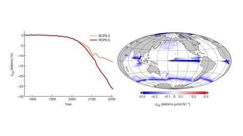 Does Acidification Affect The Number Of Diatoms