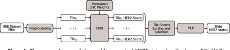 Figure 3 From Weakly Supervised Classification Of Her2 Expression In