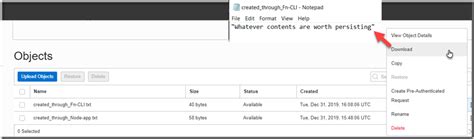 Publish Oracle Function For Reading And Writing Object Storage Files